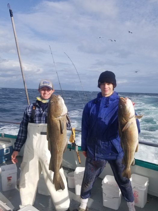 Wed Nov 25- Block Island SeaBass/Blackfish/Cod | Viking Fleet Fishing ...