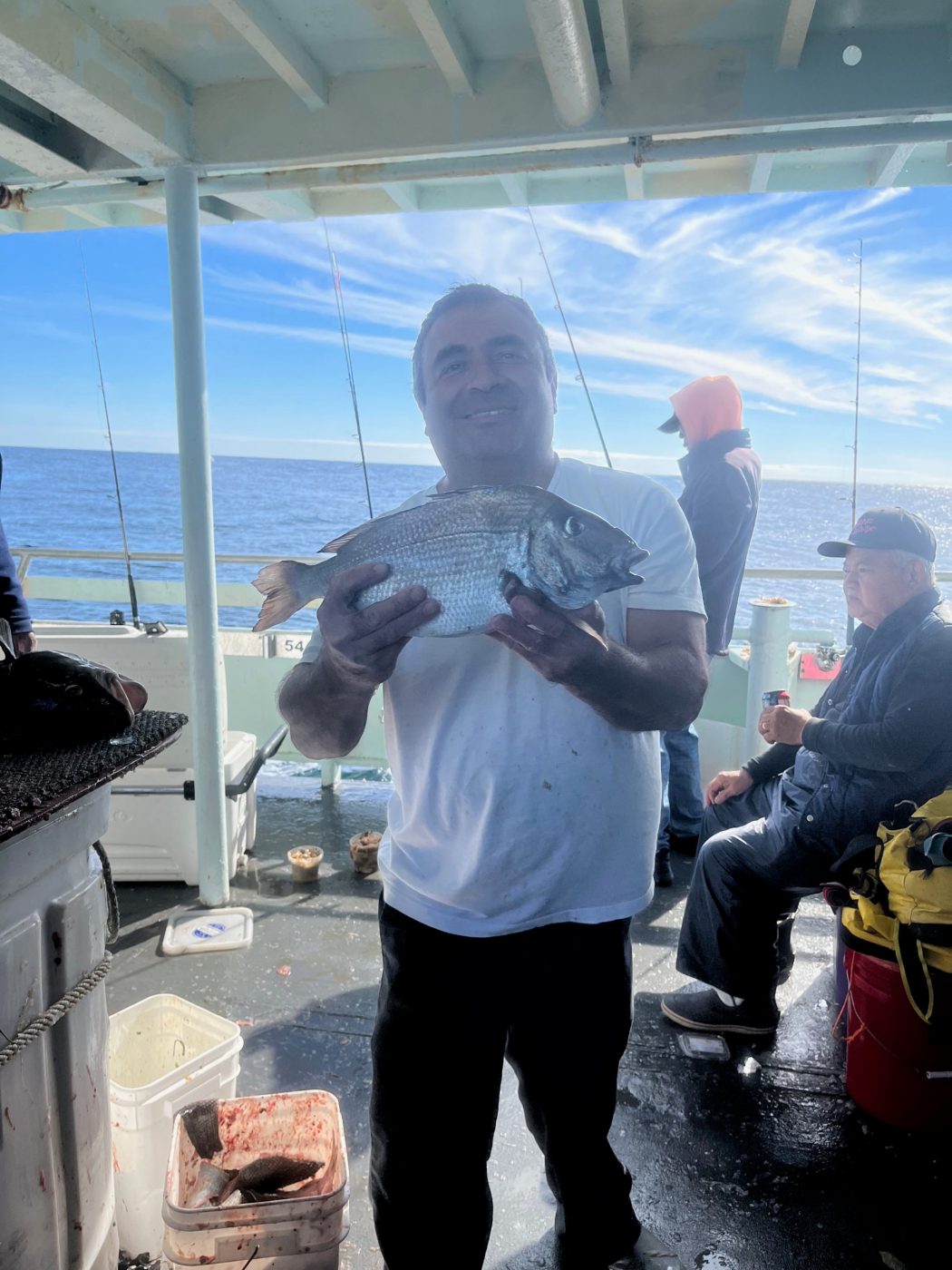 Sat Oct 22- Block Island Fall Jumbo Porgies & Knothead SeaBass | Viking ...
