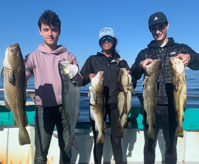 Thurs Nov 3 – Coxes Ledge Cod & Sea Bass | Viking Fleet Fishing Report