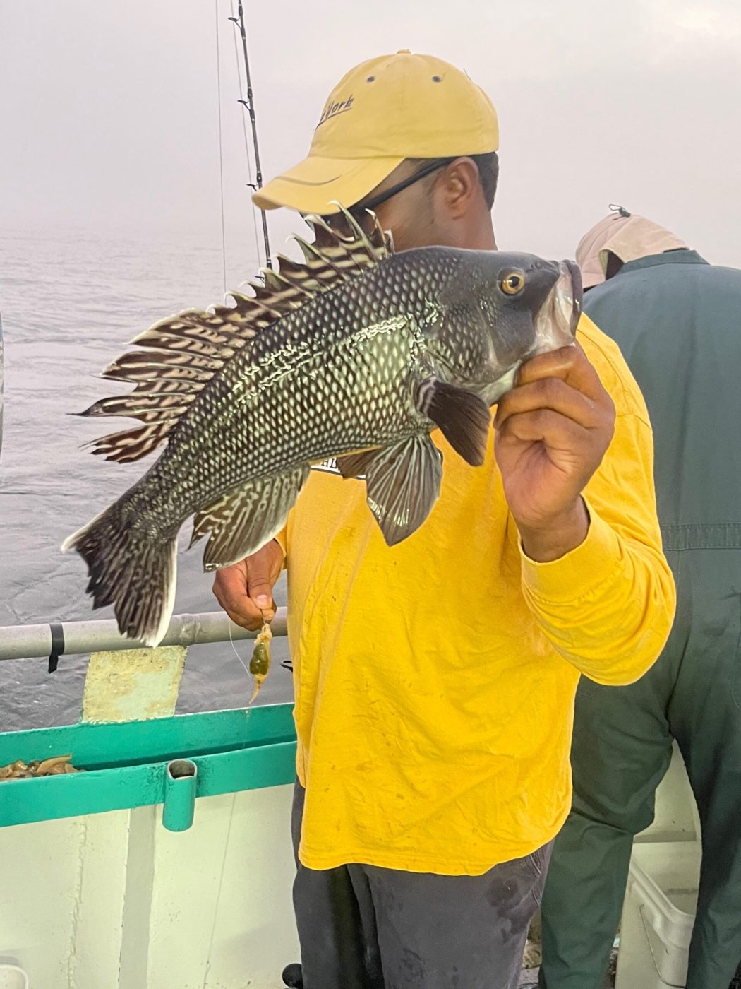 Sun Sept 10 – Montauk Lighthouse Jumbo Porgies & Sea Bass | Viking ...