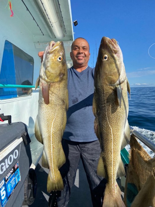 Tue Oct 24 – Coxes Ledge Cod & Sea Bass | Viking Fleet Fishing Report