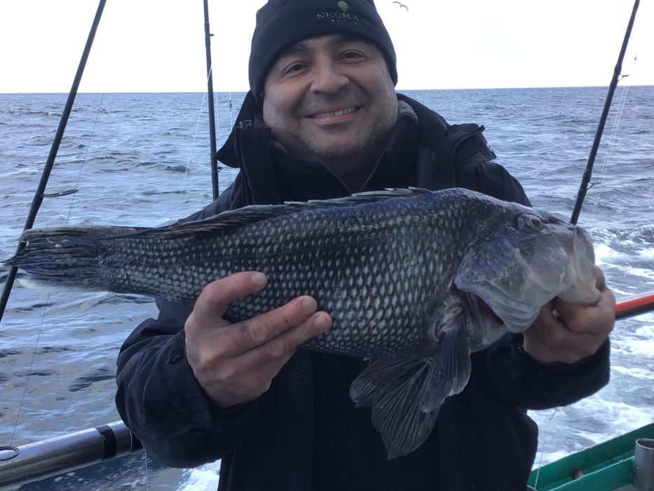 Fri Nov 3 – Block Island Jumbo Porgies & Knothead Sea Bass | Viking ...