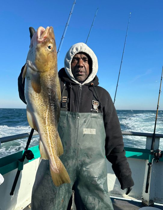 Fri Dec 15 – Block Island Jumbo Porgies & Knothead Sea Bass | Viking ...