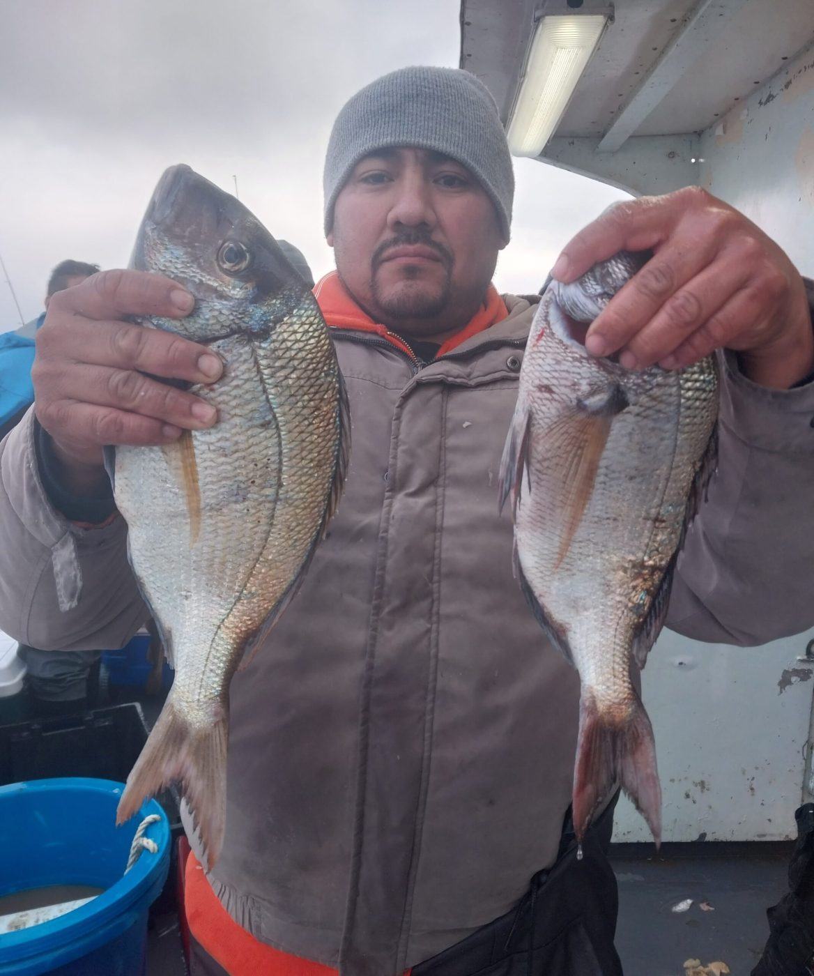 Sat Dec 2 – Block Island Jumbo Porgies & Knothead Sea Bass | Viking ...
