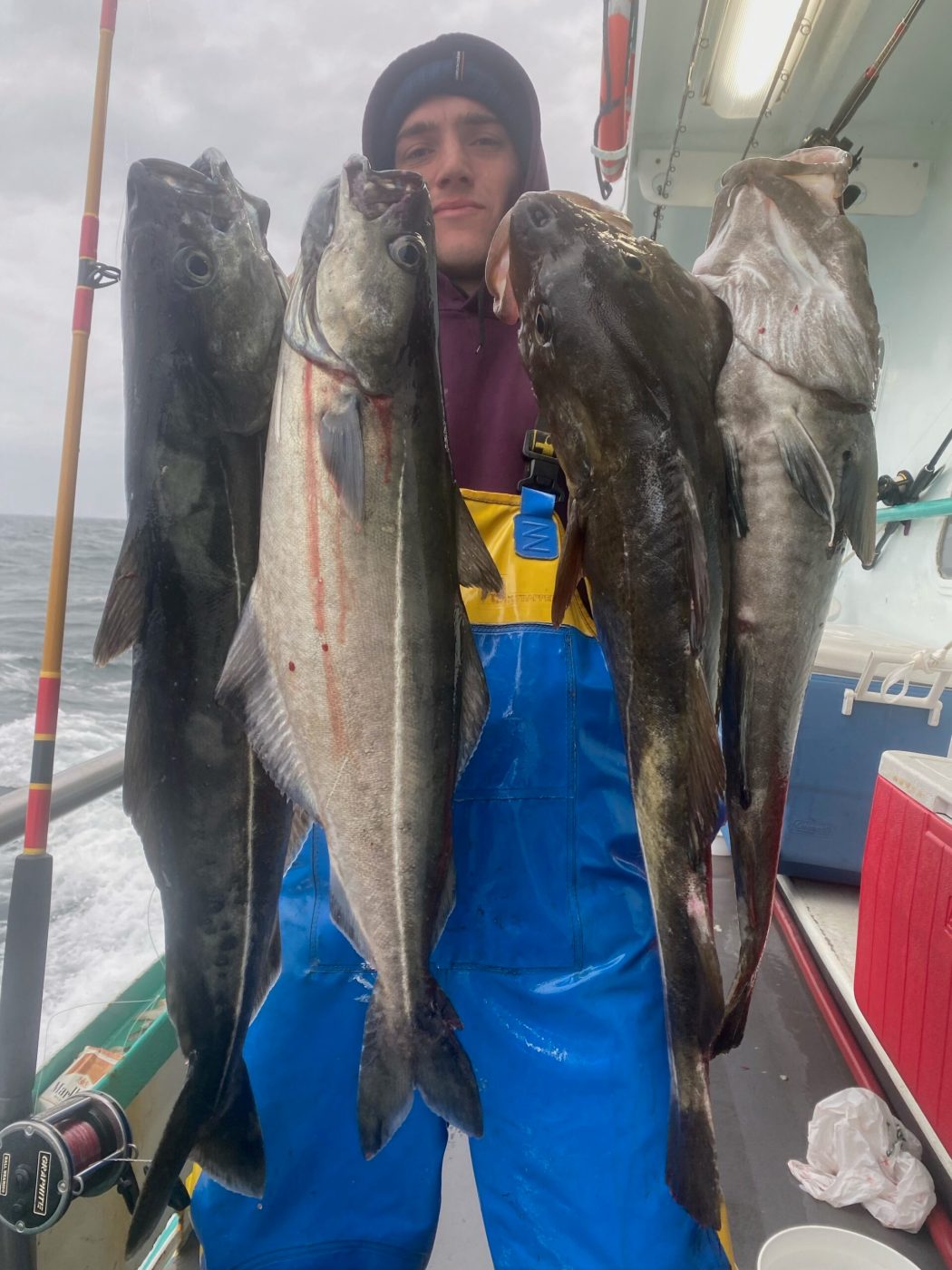 Sun March 3 – Nantucket Wreck Special | Viking Fleet Fishing Report