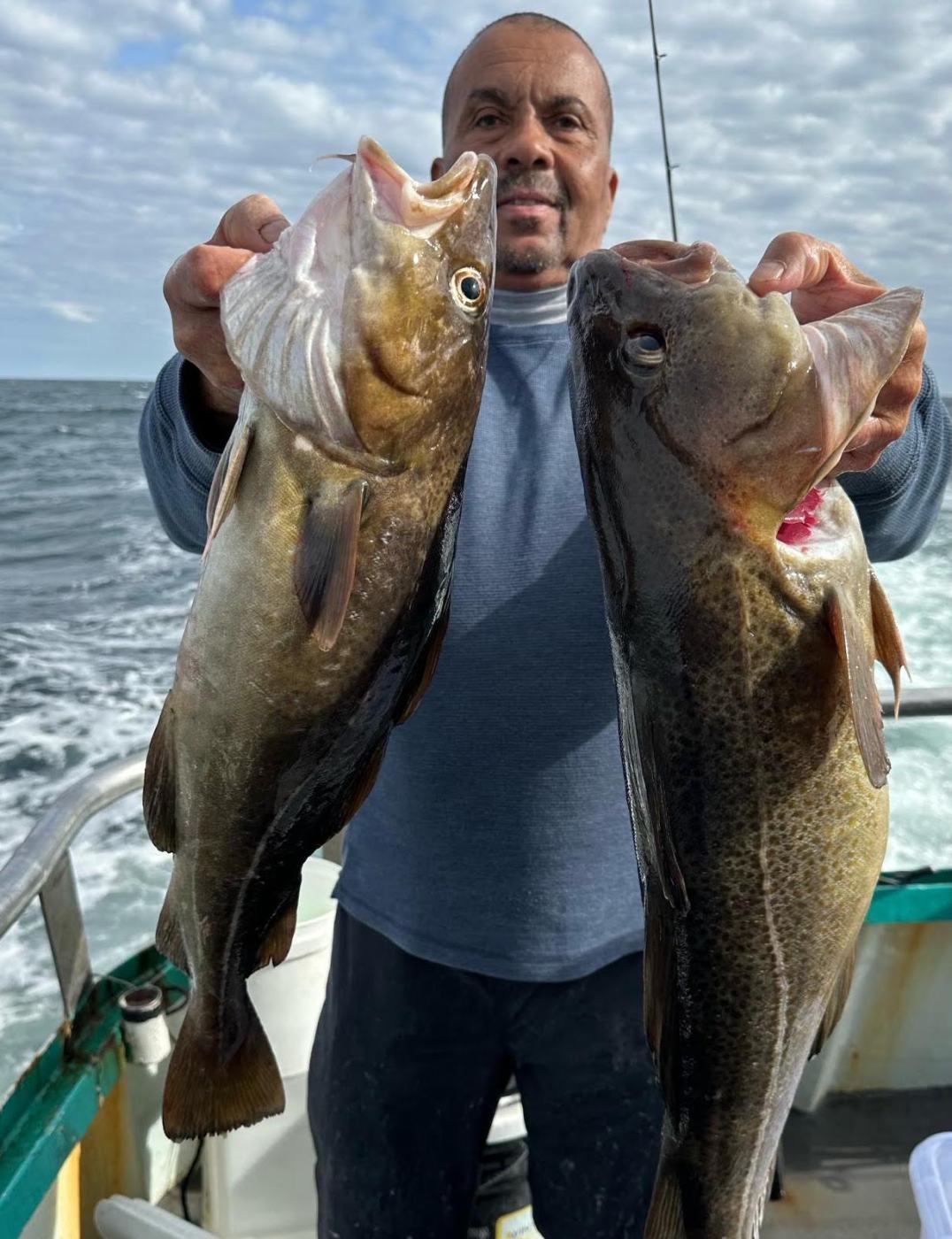 Tue Oct 29 – Coxes Ledge Cod & Sea Bass | Viking Fleet Fishing Report