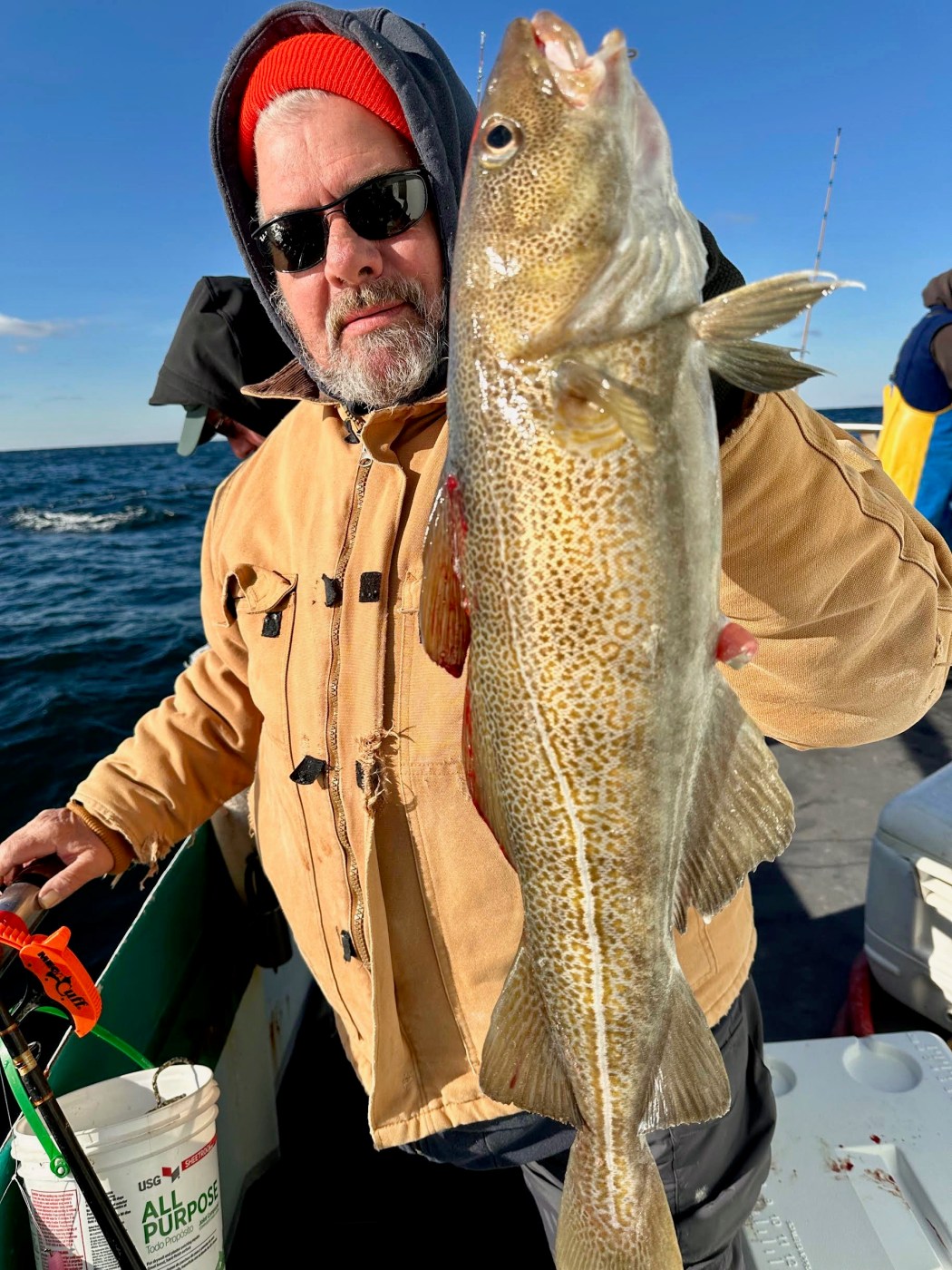 Tues Dec 3 – Coxes Ledge Cod & Sea Bass | Viking Fleet Fishing Report